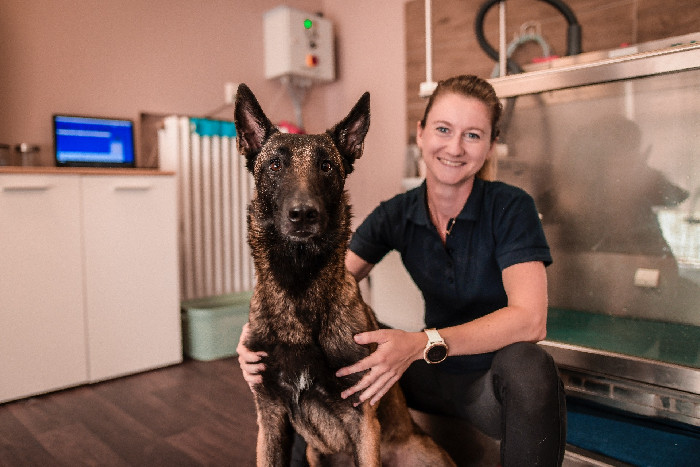 Animal prosthetics | About us